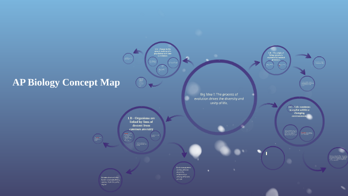 AP BIO Concept Map by Seth Evasco on Prezi