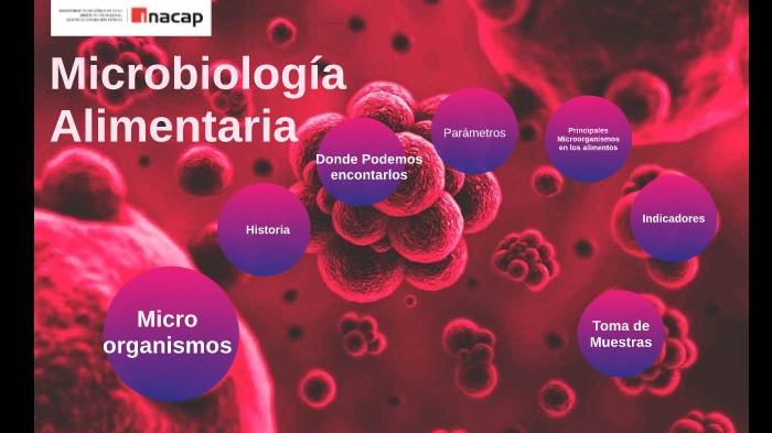 microbiología Alimentaria by mishu arriagada muñoz on Prezi