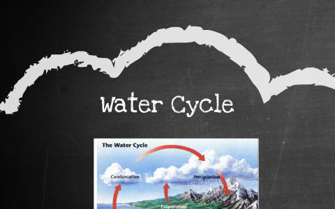 Water Cycle by Stephanie Schwind