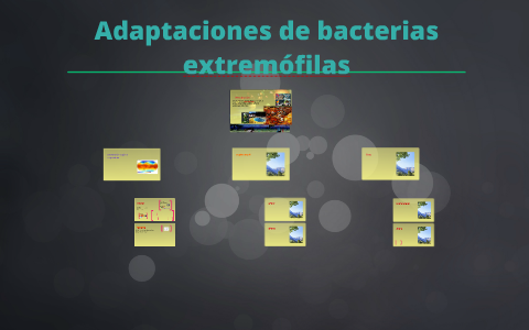 Adaptaciones de bacterias extremofilas by vania olivares on Prezi