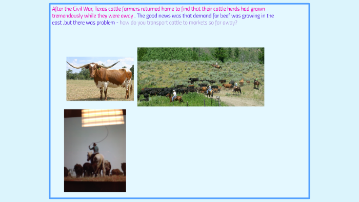 Cowboys and Cattle Trails By miranda peppers by Donna Bryant on Prezi
