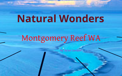 Montgomery Reef WA by D G on Prezi