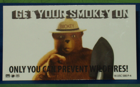 Smokey the Bear by Shelly Boodram on Prezi