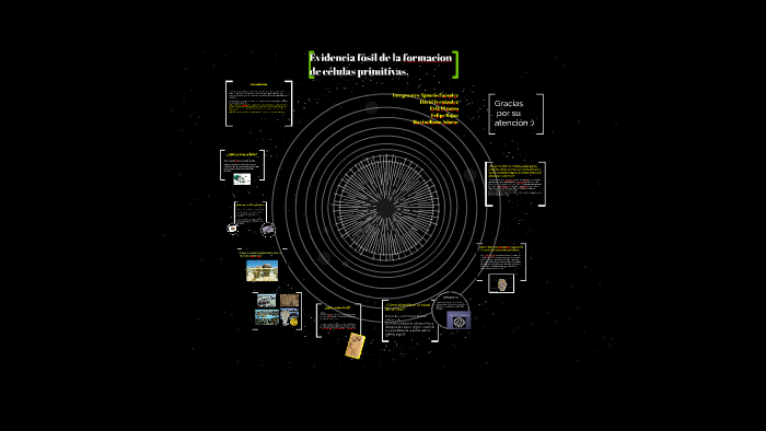 Evidencia fosil de la formacion de celulas primitivas. by nacho faundez
