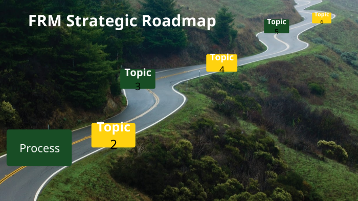 FRM Strategic Roadmap by Robert Curtis on Prezi