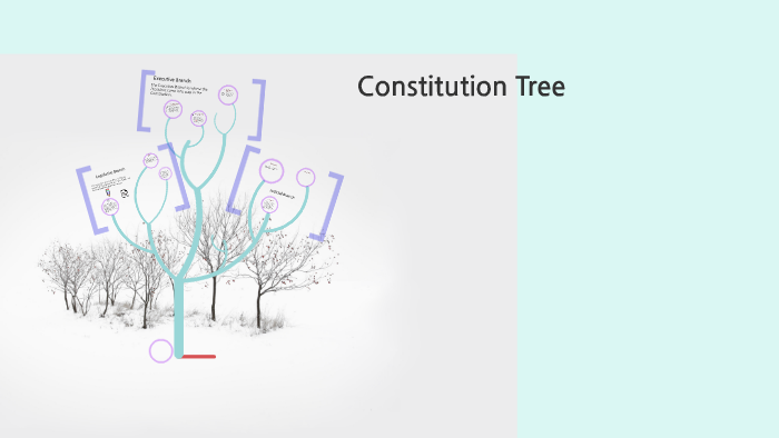 Constitution Tree by Sofia Urcadez on Prezi