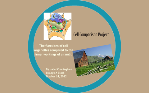 Cell Comparison Project by Isabel Cunningham on Prezi