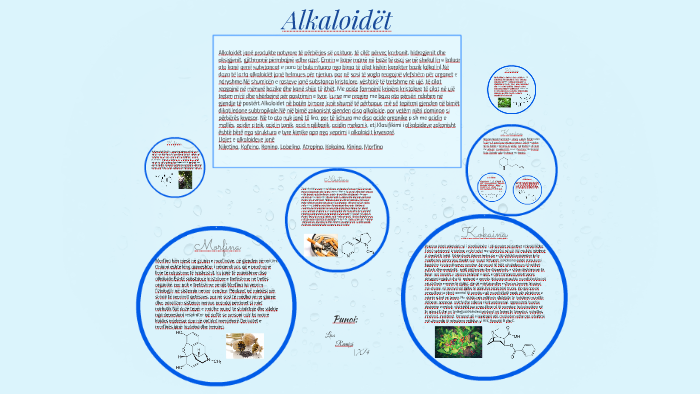 Alkaloidët (Drogat) by lisa ramizi on Prezi