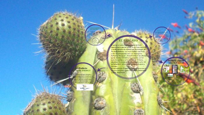 El sanky la nueva fruta medicinal del Perú by katherine milla poma on Prezi