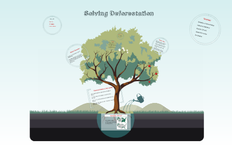 Solving Deforestation by Sam Williamson on Prezi