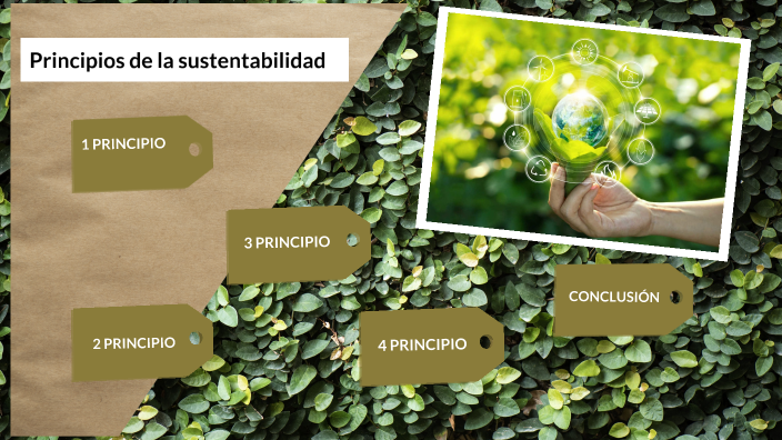 Principios de la sustentabilidad by José Luis Acosta García on Prezi