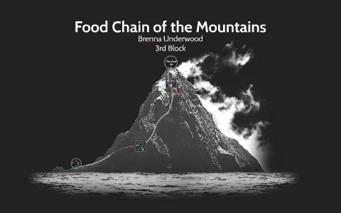 Food Chain of Banshee Mountain by Brenna Underwood on Prezi