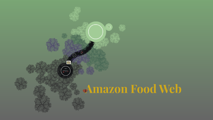 Amazon Food Web by nathan miller on Prezi