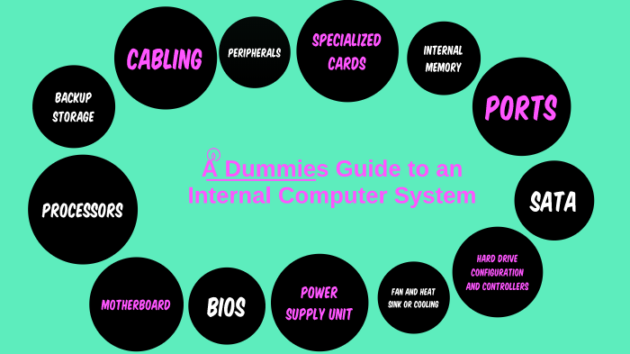 A dummies guide to an internal computer system by Maya Awada on Prezi
