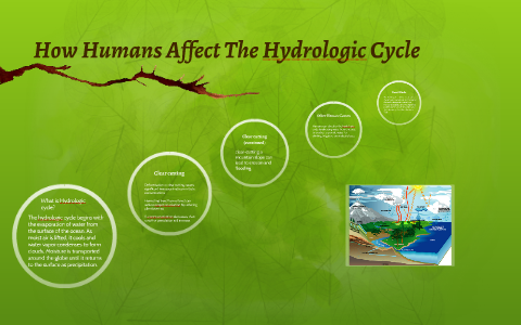 How Humans Affect The Hydrologic Cycle by Maddie Koontz on Prezi