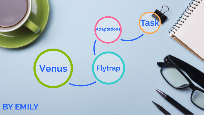 Venus Flytrap adaptations by Katelyn Peeters on Prezi