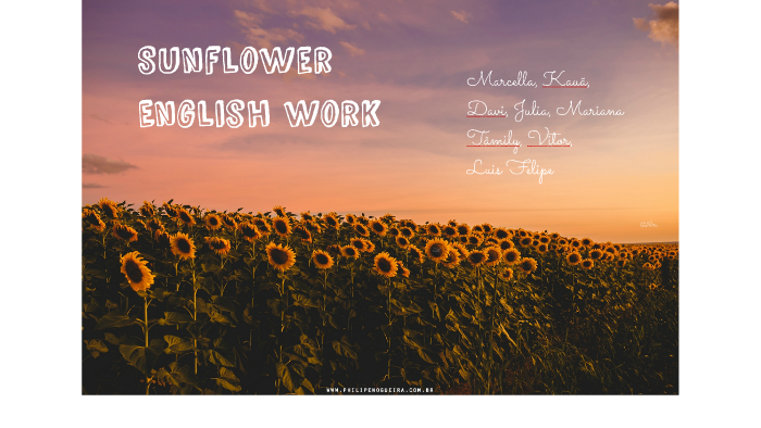 Sunflower (Marcella Borges) by Michelson Borges on Prezi