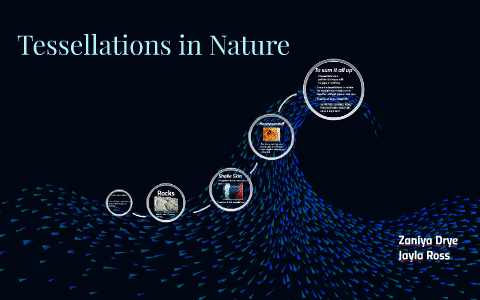 Tessellations in Nature by LIFE Lab on Prezi