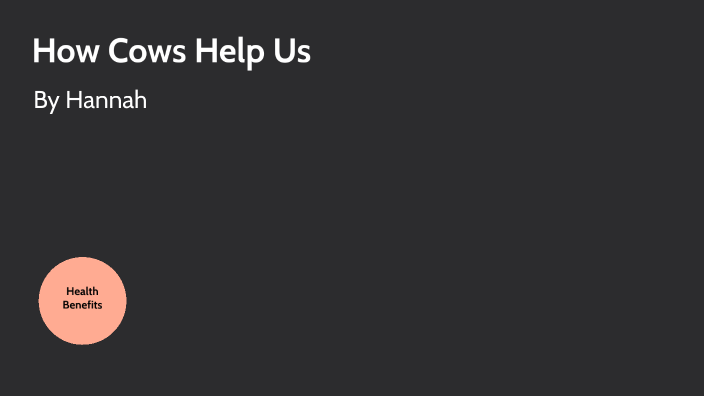 How cows help us by hannah duguay on Prezi