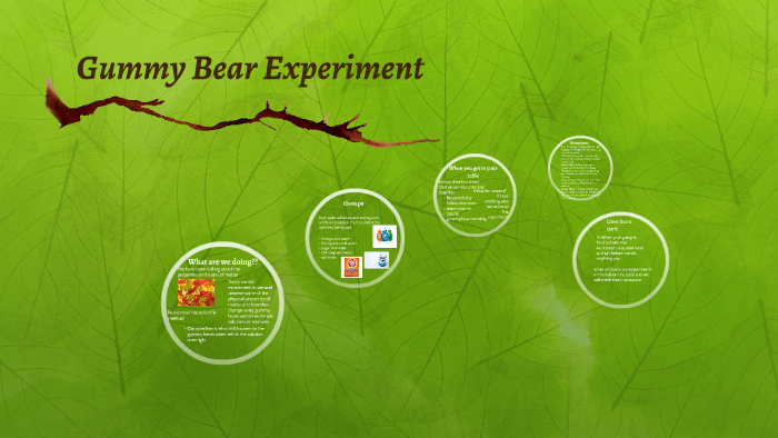 Gummy Bear Experiment by Katie risner on Prezi