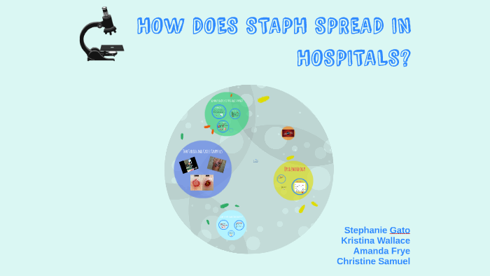 HOW DOES STAPH SPREAD IN HOSPITALS? by Stephi Gato on Prezi