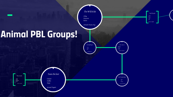 Animal PBL Groups! by Emily Quinn on Prezi