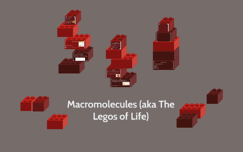 Macromolecules (aka Legos) by Dove Smith on Prezi