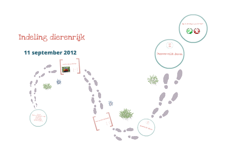 Indeling dierenrijk by Anneloes van Klaren