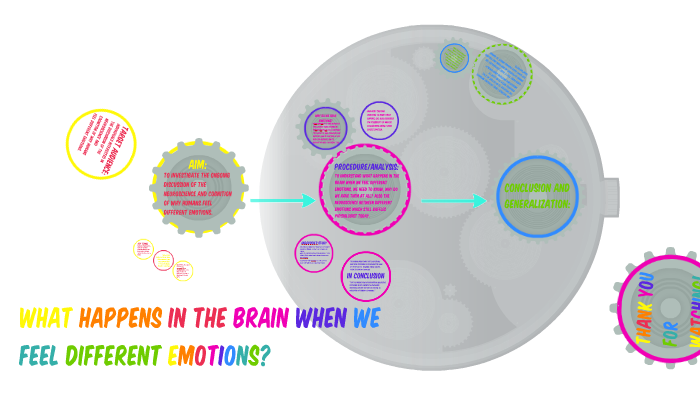 WHAT HAPPENS IN THE BRAIN WHEN WE FEEL DIFFERENT EMOTIONS? by dani ...