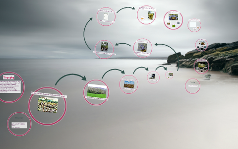 All the year the flax-dam festered in the heart by Chase Dato on Prezi