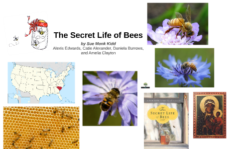 Secret Life of Bees Lit Circle Project by Kate Snickerdoodle on Prezi
