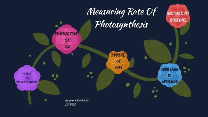 MEASURING RATE OF PHOTOSYNTHESIS AND NATURE OF SCIENCE by Nayana ...