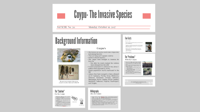 Coypu- The Invasive Species by astred ngnepieba