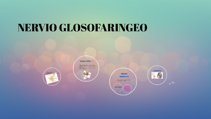NERVIO GLOSOFARINGEO by Josselyn Garcia on Prezi