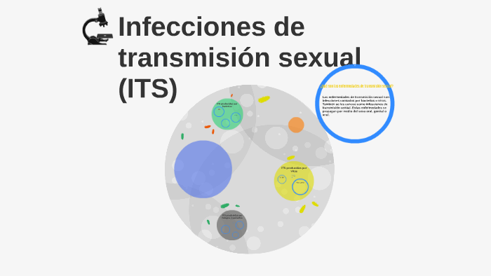 Infecciones De Transmicion Sexual Its By Rocio Lugo