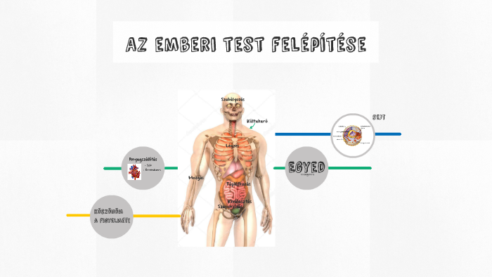 Egyed by Dóra Csizmadia on Prezi