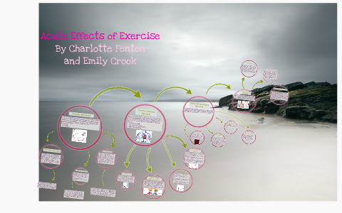 Acute Effects of Exercise by Emily Crook on Prezi