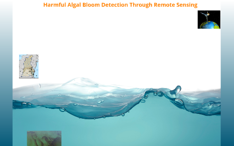 Harmful Algal Bloom Detection Through Remote Sensing by Christian ...