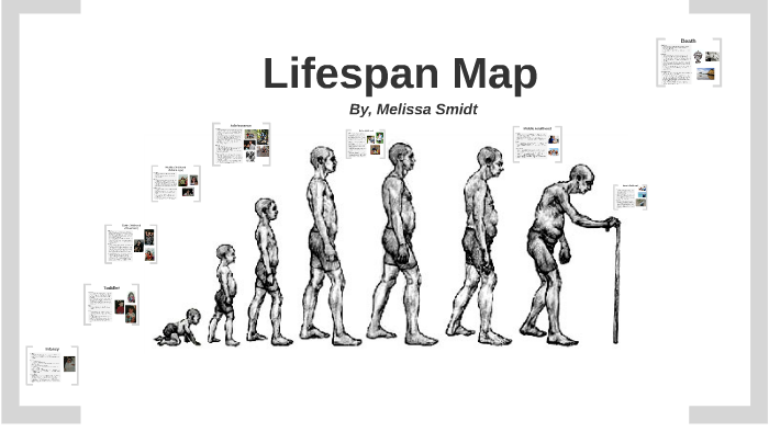 Lifespan Map by Melissa Smidt on Prezi