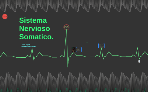 Sistema Nervioso Somatico. by on Prezi