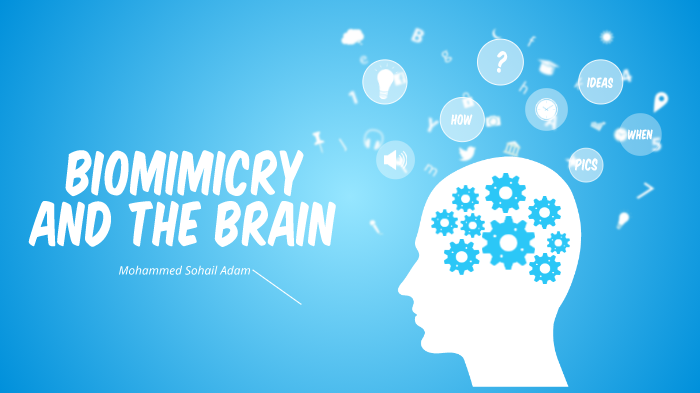 Biomimicry and the Brain by Mohammed Adam on Prezi