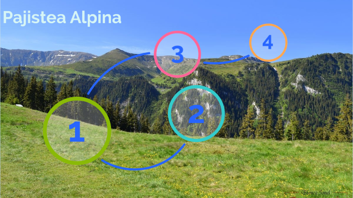 Pajistea alpina by Pascal Denisa on Prezi