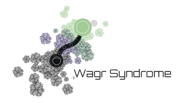 Wagr Syndrome by Arturo Reyes on Prezi