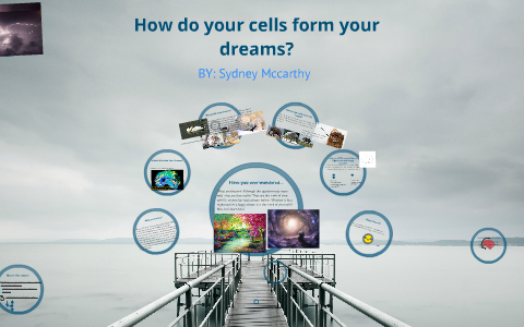 How do you cells form your dreams by Sydney McCarthy on Prezi