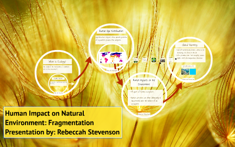 Human Impact on Natural Environment: Fragmentation by Rebeccah ...