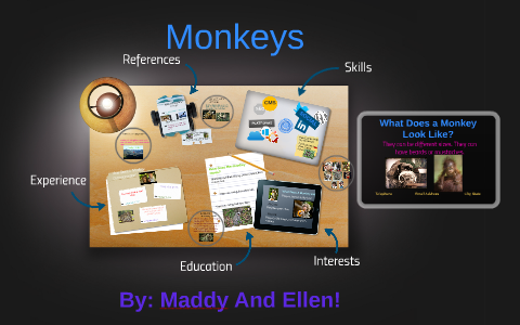 What Does a Monkey Look Like? by Jessica Seale on Prezi