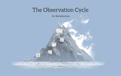 The Observation Cycle by Alisha Adams on Prezi