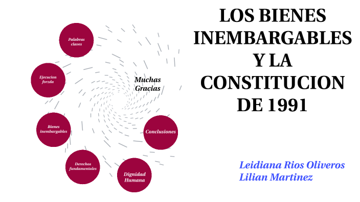LOS BIENES INEMBARGABLES Y LA CONSTITUCION DE 1991 by LEIDIANA MARIA ...
