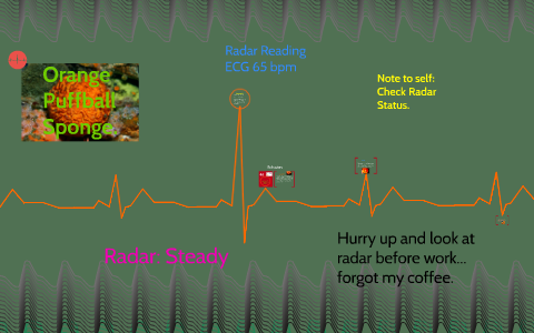 Orange Puffball Sponge. by on Prezi