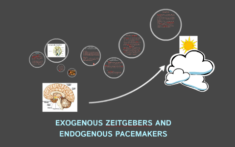 EXOGENOUS ZEITGEBERS AND ENDOGENOUS PACEMAKERS by Daniella Brownlow on ...
